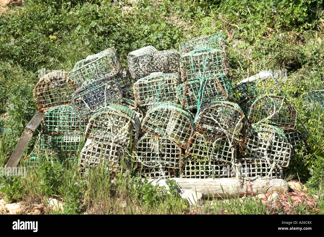 Wire fishing cage hi-res stock photography and images - Alamy