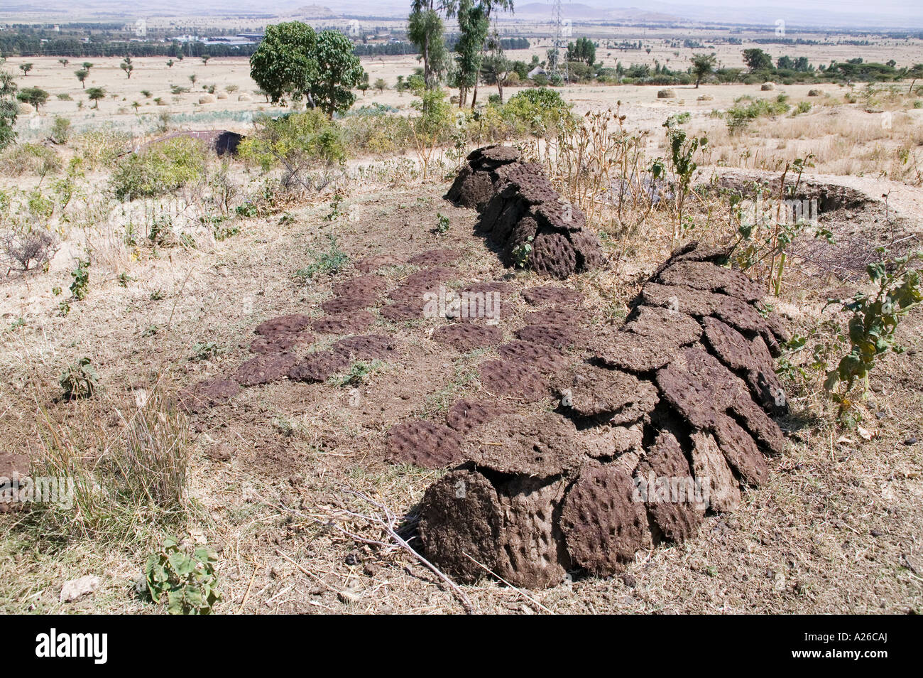 Cow dung africa hi-res stock photography and images - Alamy
