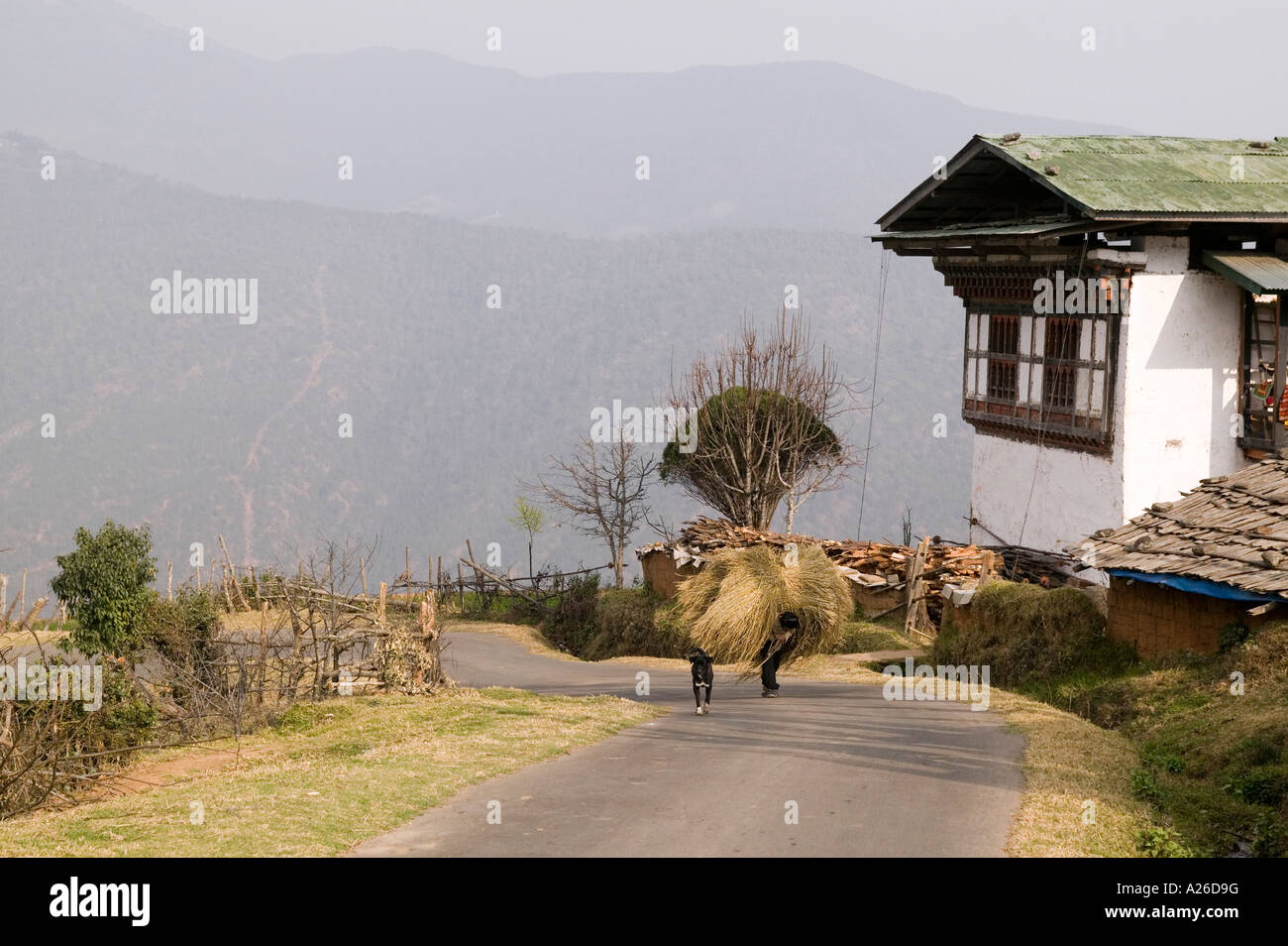 Rural scene in Bhutan Stock Photo - Alamy