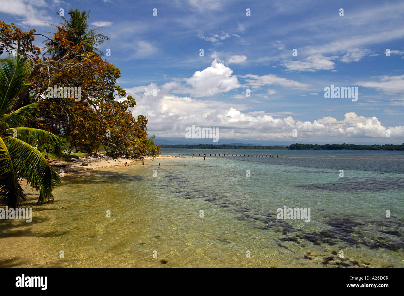 Boca del Drago, Playa de las Estrellas, Isla Colon, Bocas del Toro ...