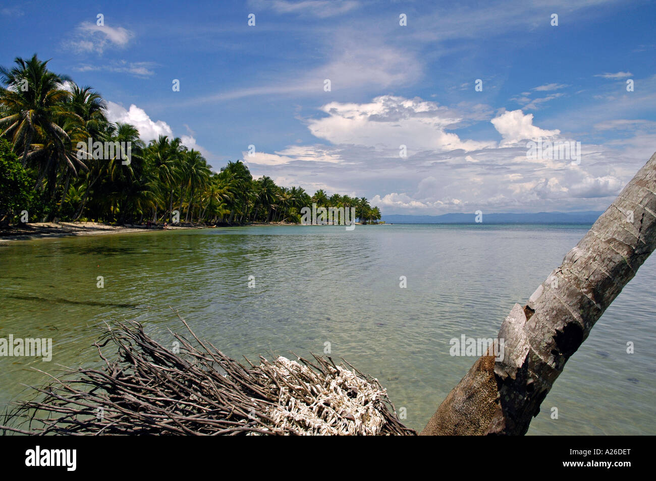 Boca del Drago, Playa de las Estrellas, Isla Colon, Bocas del Toro ...