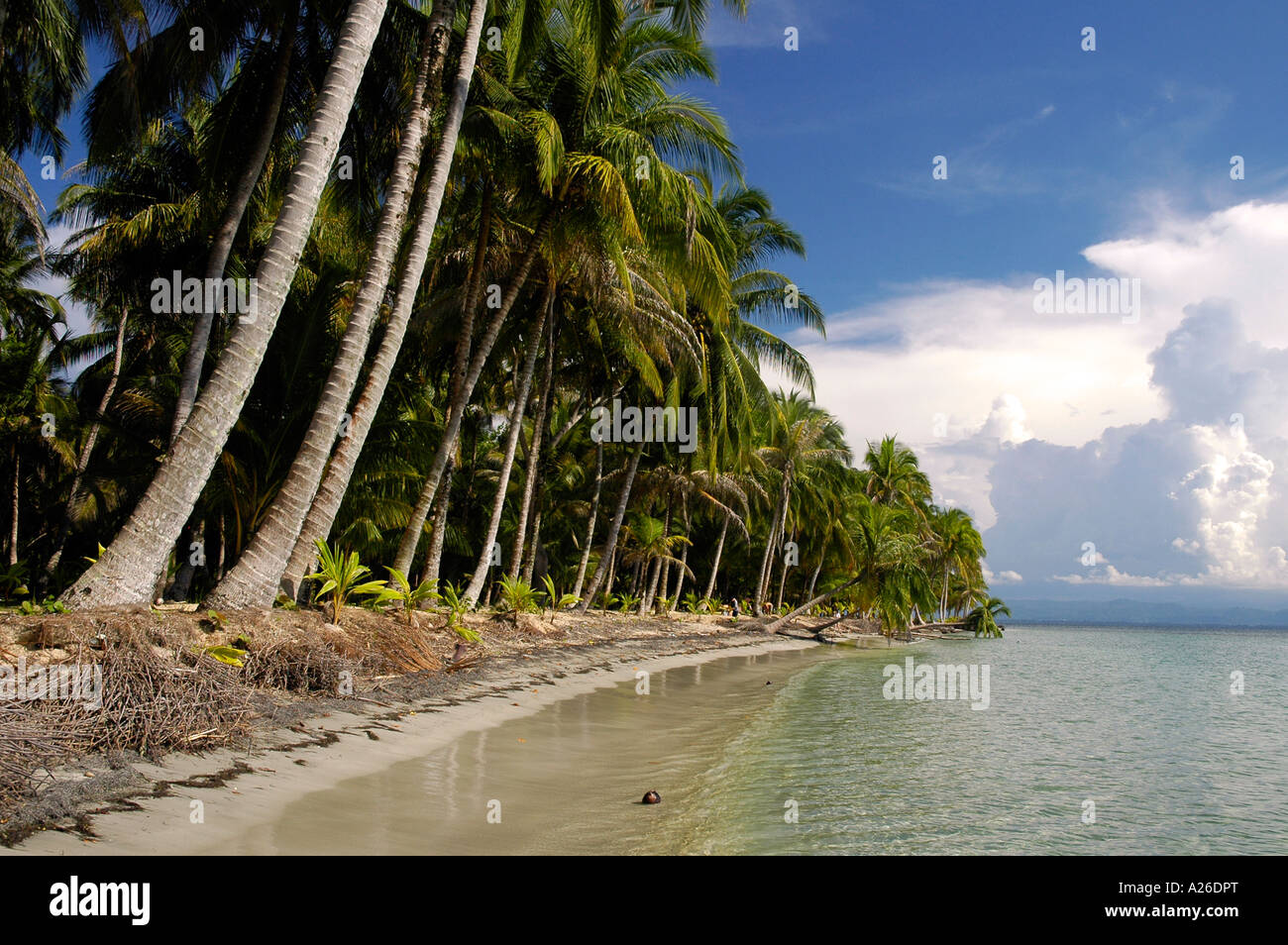 Boca del Drago beach, Playa de las Estrellas, Isla Colon, Bocas del ...
