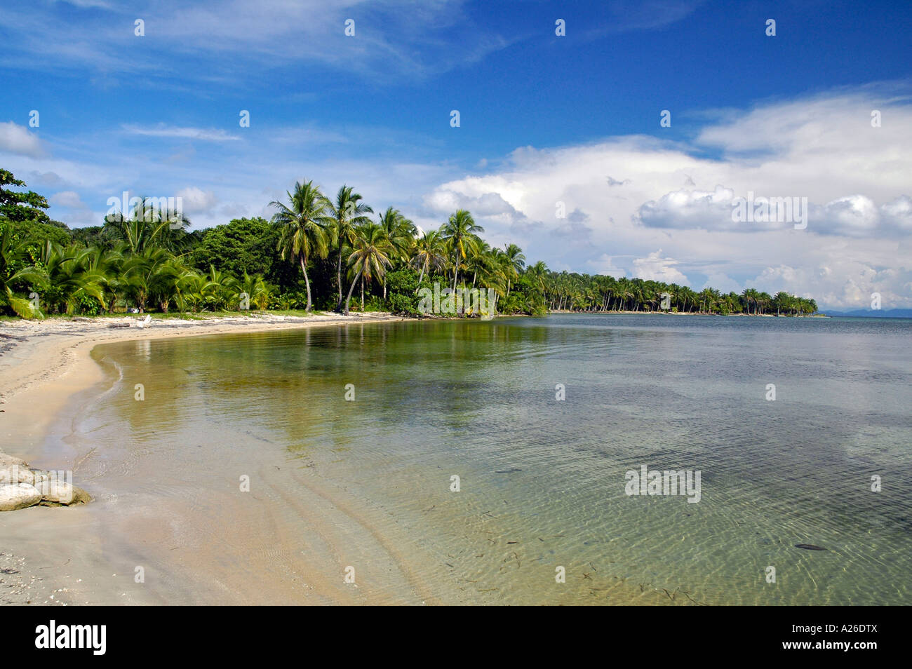 Boca del Drago beach, Playa de las Estrellas, Isla Colon, Bocas del ...