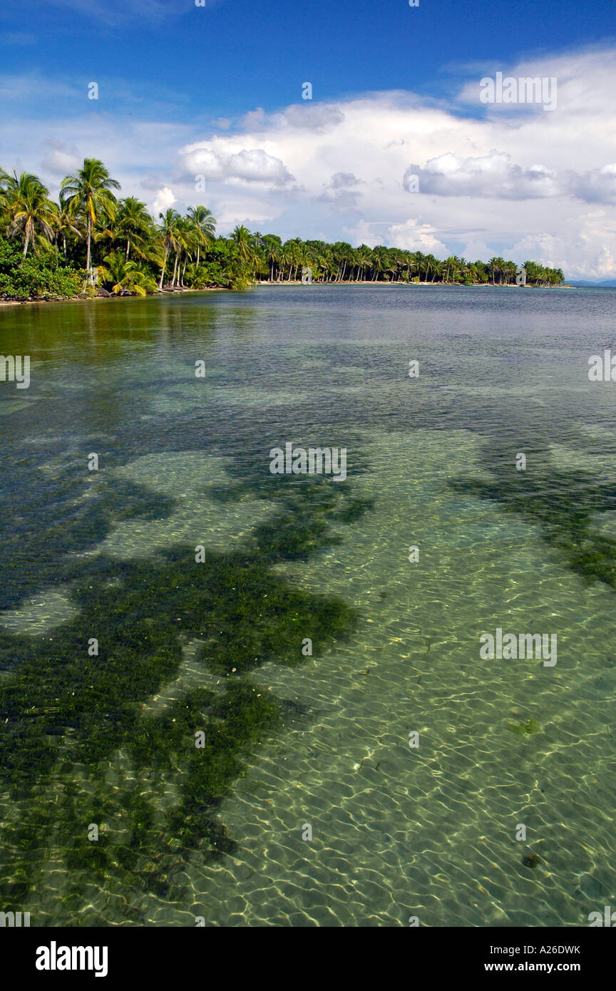 Boca del Drago beach, Playa de las Estrellas, Isla Colon, Bocas del ...