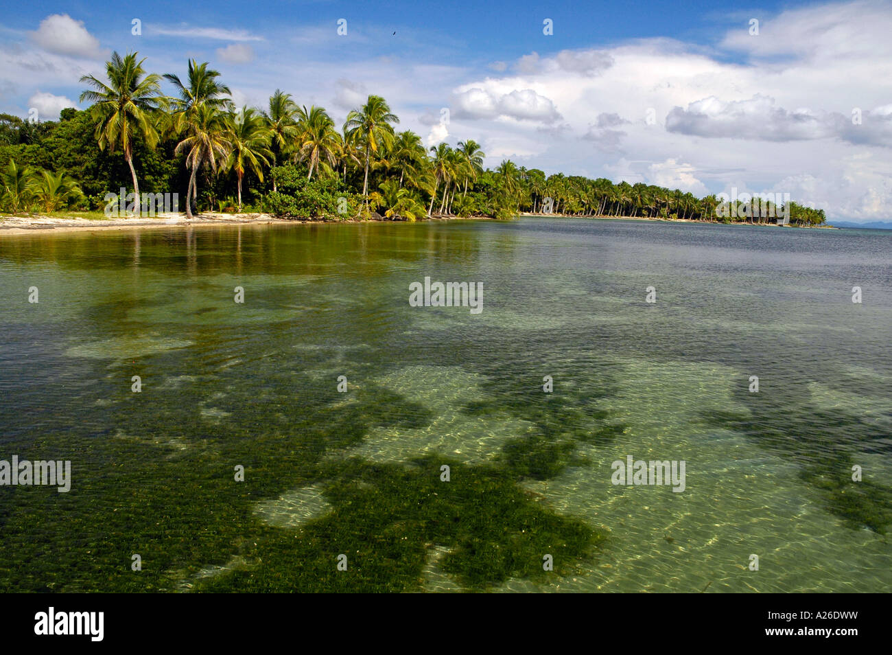 Boca del Drago beach, Playa de las Estrellas, Isla Colon, Bocas del ...