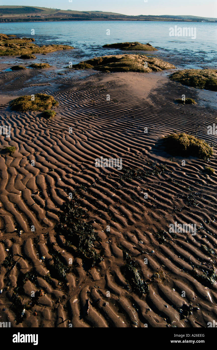 Nigg bay cromarty hi-res stock photography and images - Alamy