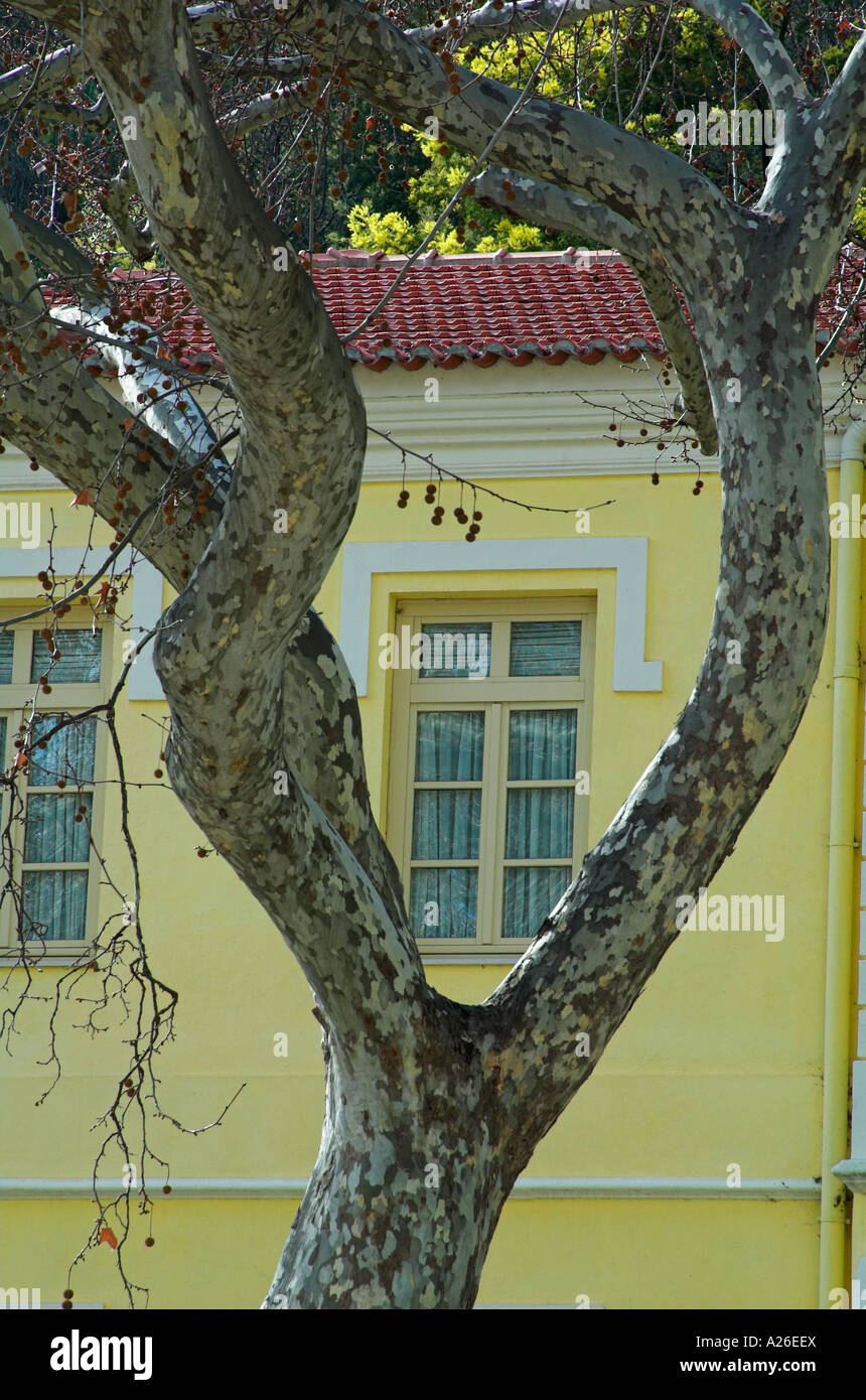 Building and trees Stock Photo - Alamy