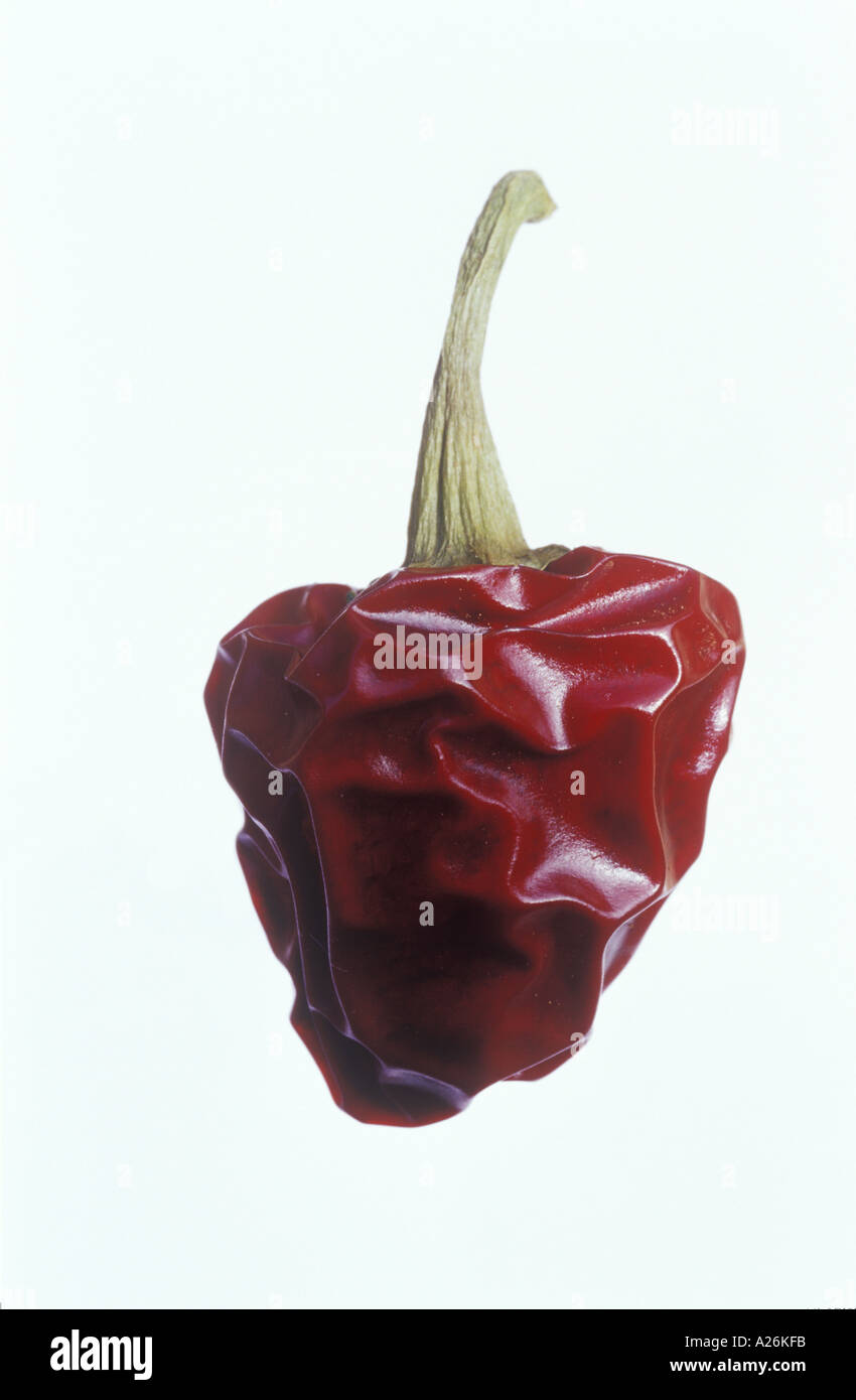 Midget dried cayenne pepper hi-res stock photography and images - Alamy