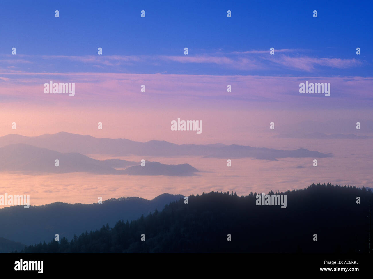 Tennessee pollution hi-res stock photography and images - Alamy