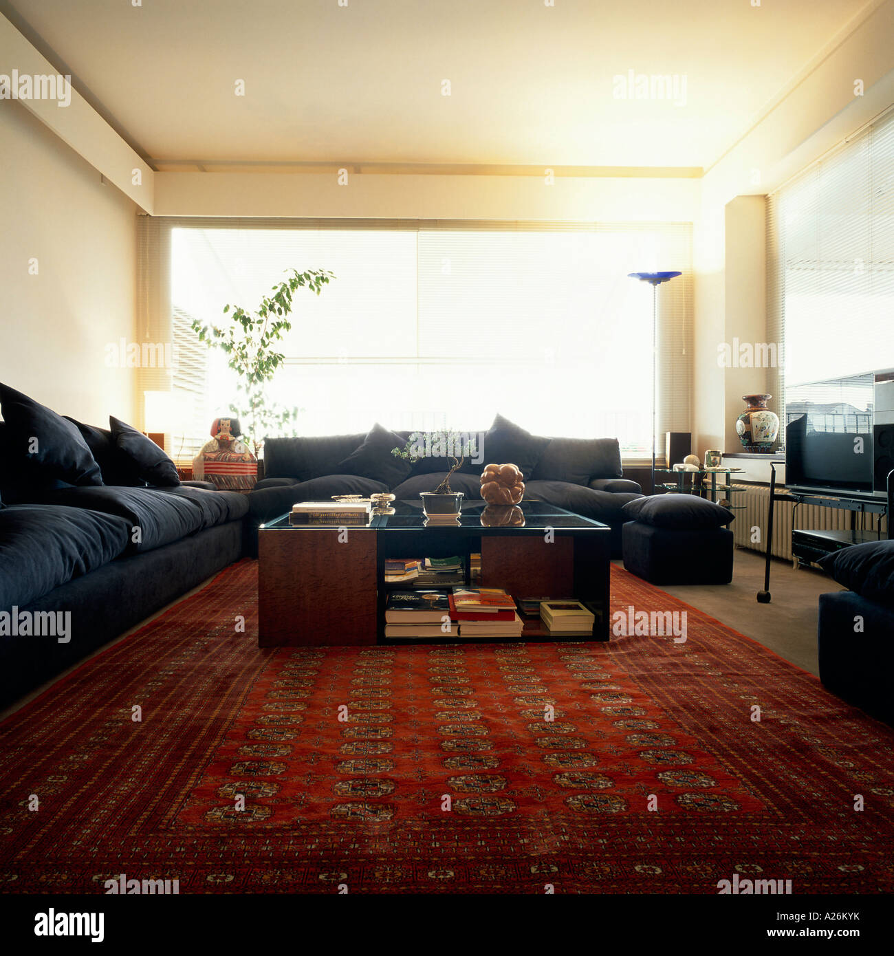 View of a living room with comfortable couches Stock Photo - Alamy