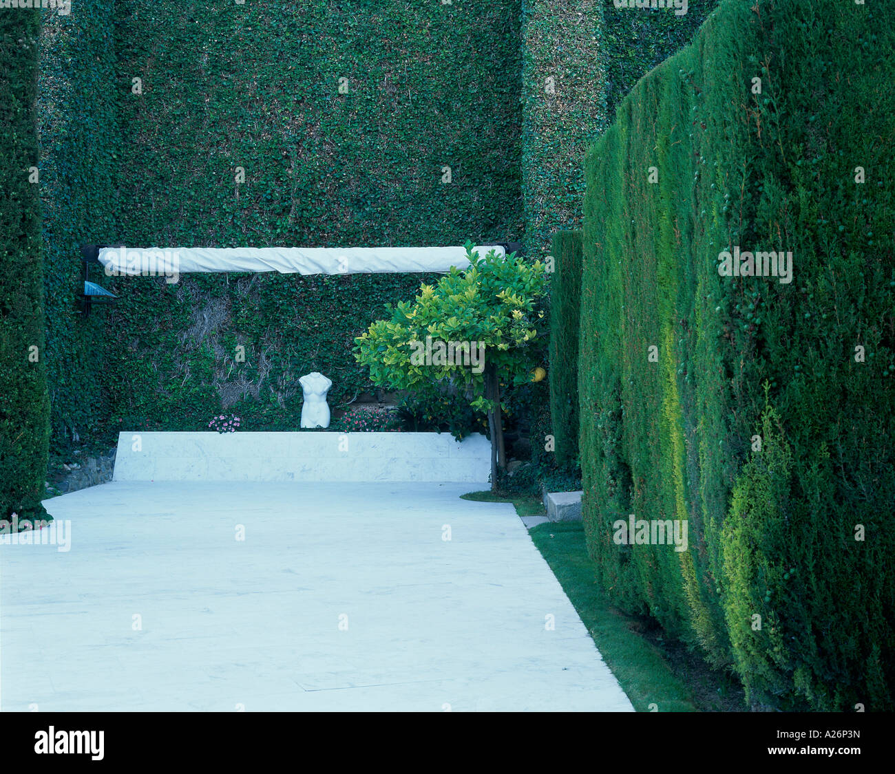 View of design of trees in a garden Stock Photo - Alamy