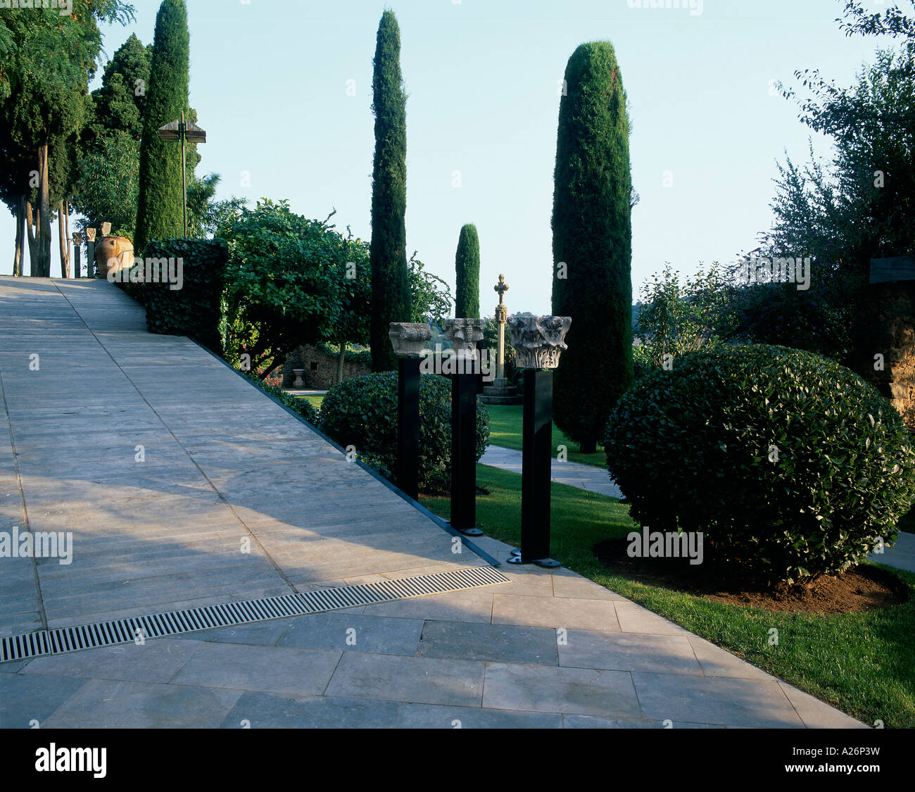 View of trees in a landscaping Stock Photo - Alamy