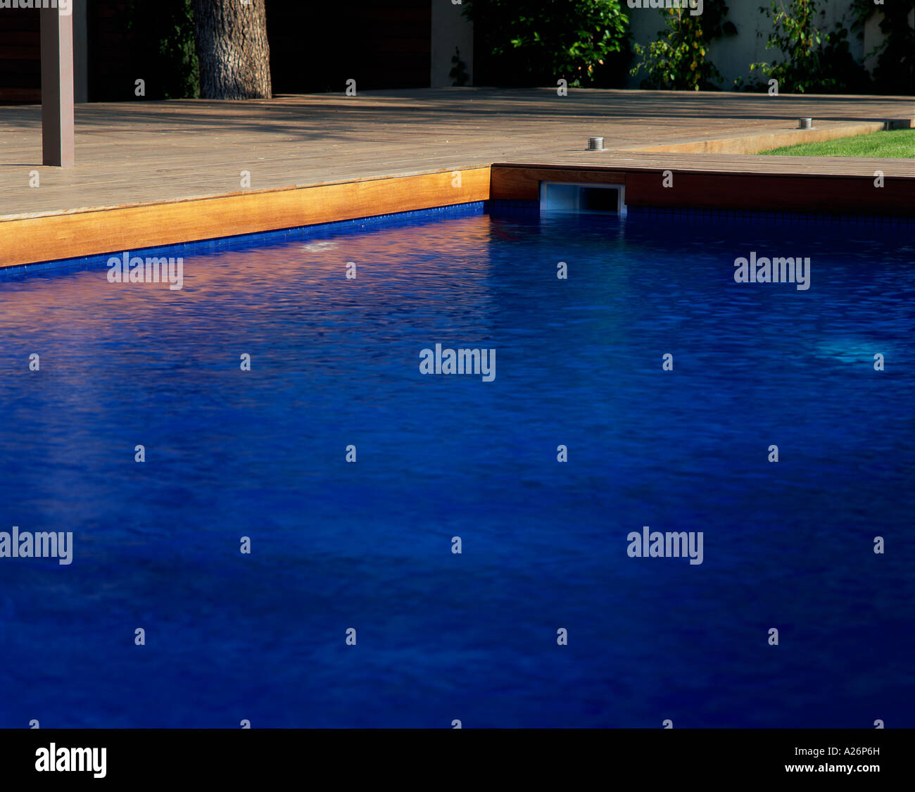 View of a clear swimming pool Stock Photo - Alamy