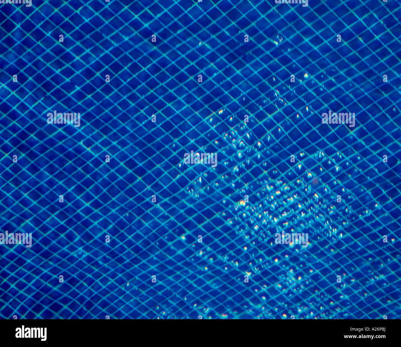 Close up of a tiled swimming pool Stock Photo - Alamy