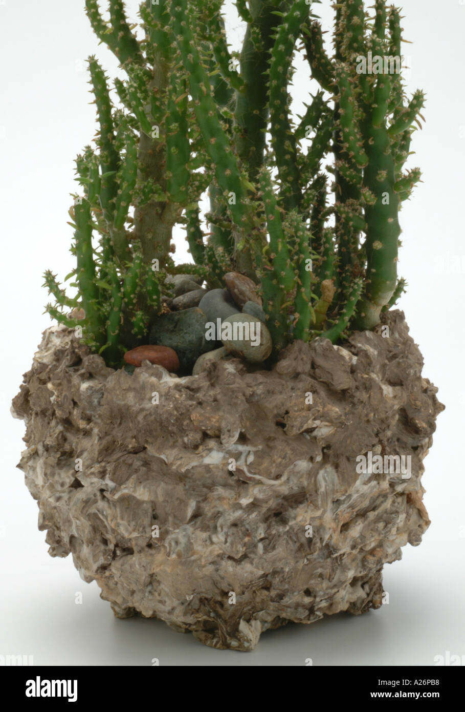 Ceramic hand made studio art mixed clay bowl dish pot cactus plant ...