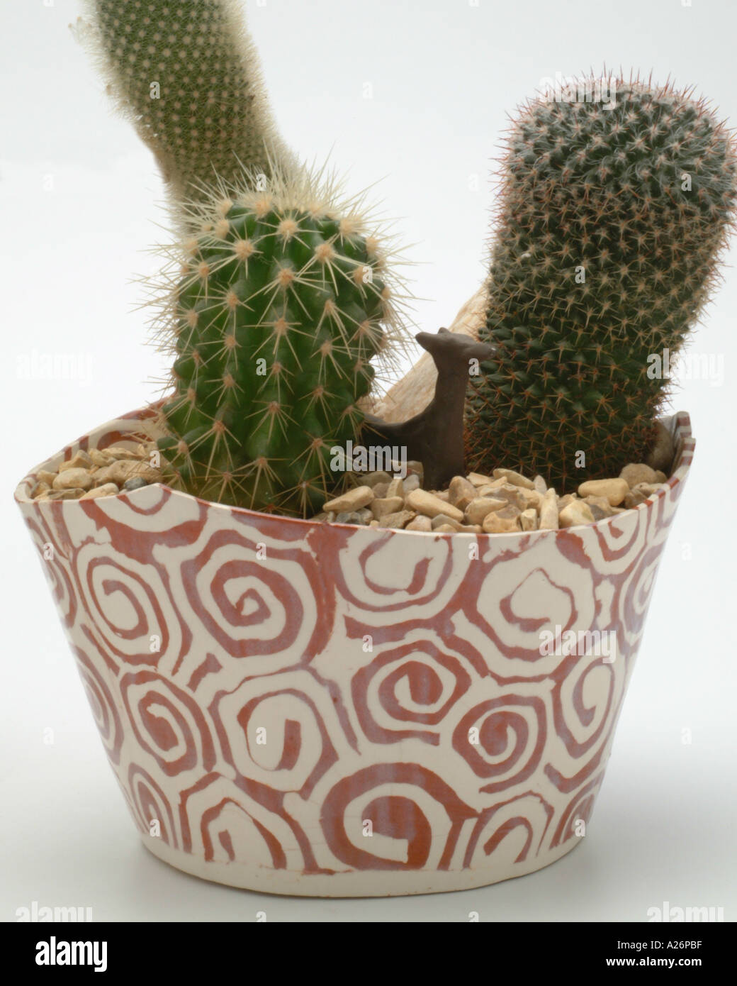 Ceramic hand made studio art mixed clay bowl dish pot cactus plant ...