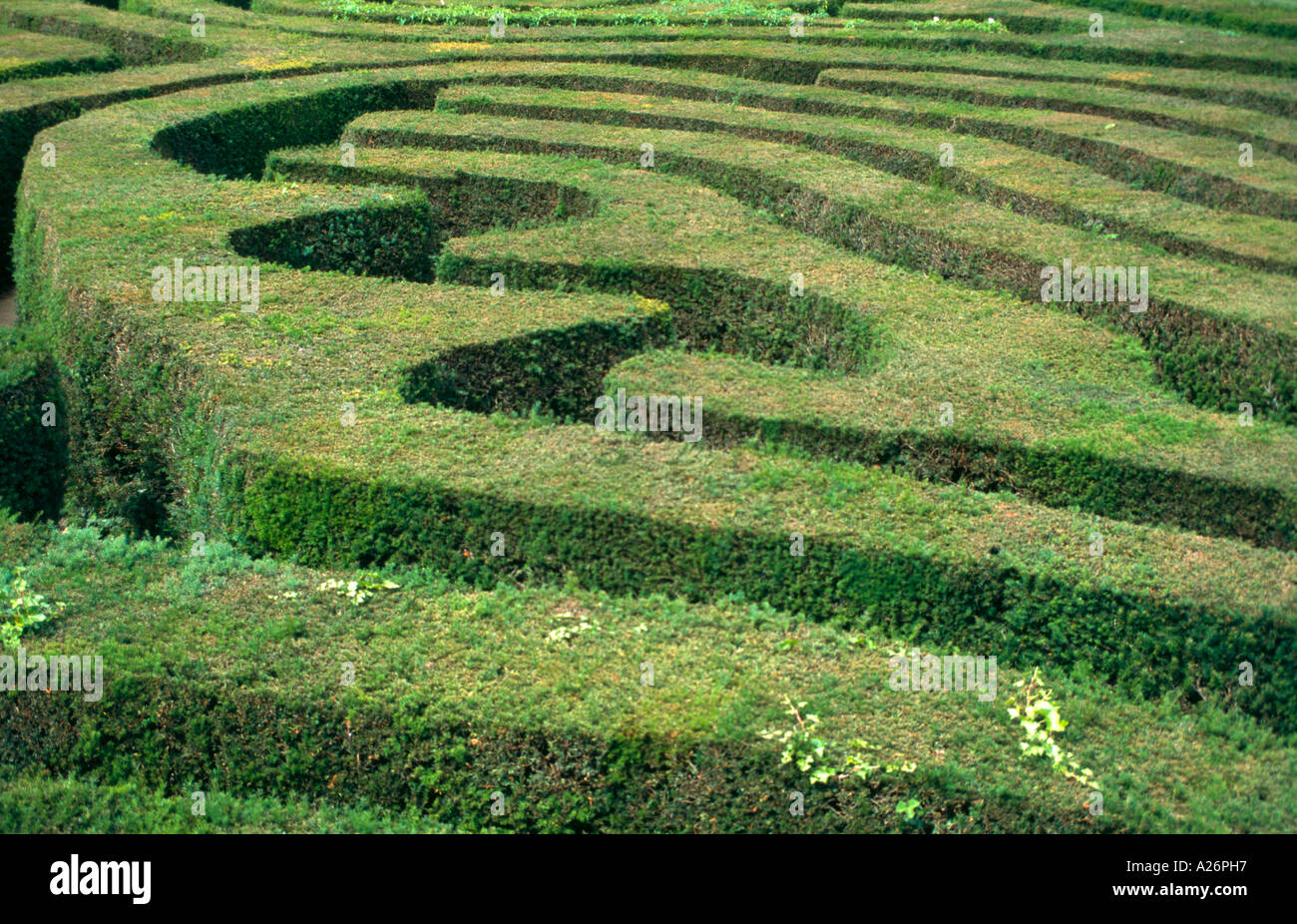Hedge Maze Stock Photos & Hedge Maze Stock Images - Alamy