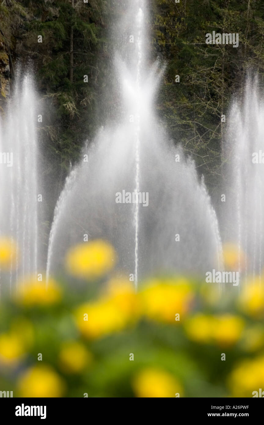 The Ross Fountain Butchart Gardens Stock Photos & The Ross Fountain ...