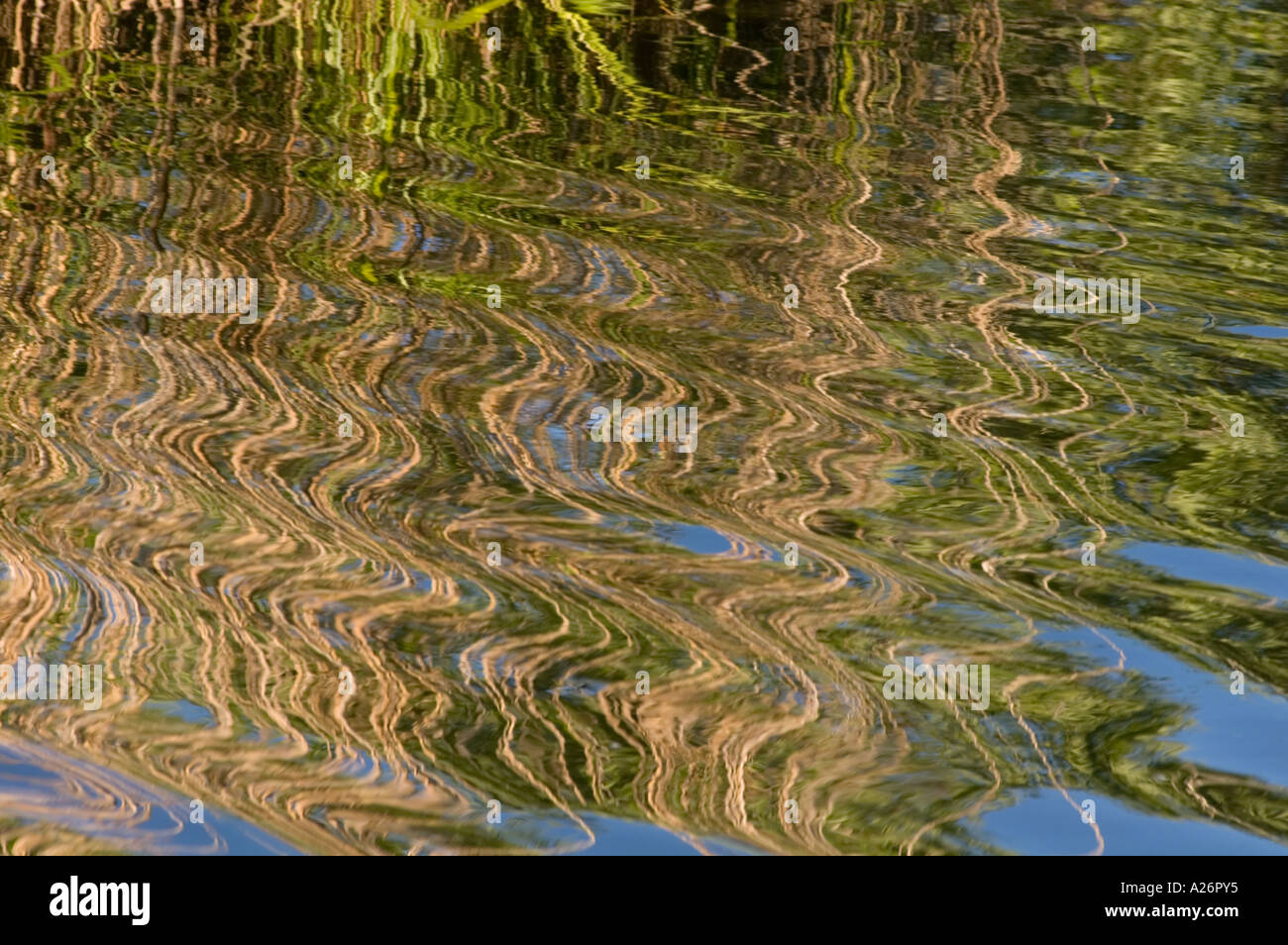 Taylor slough wetlands hi-res stock photography and images - Alamy