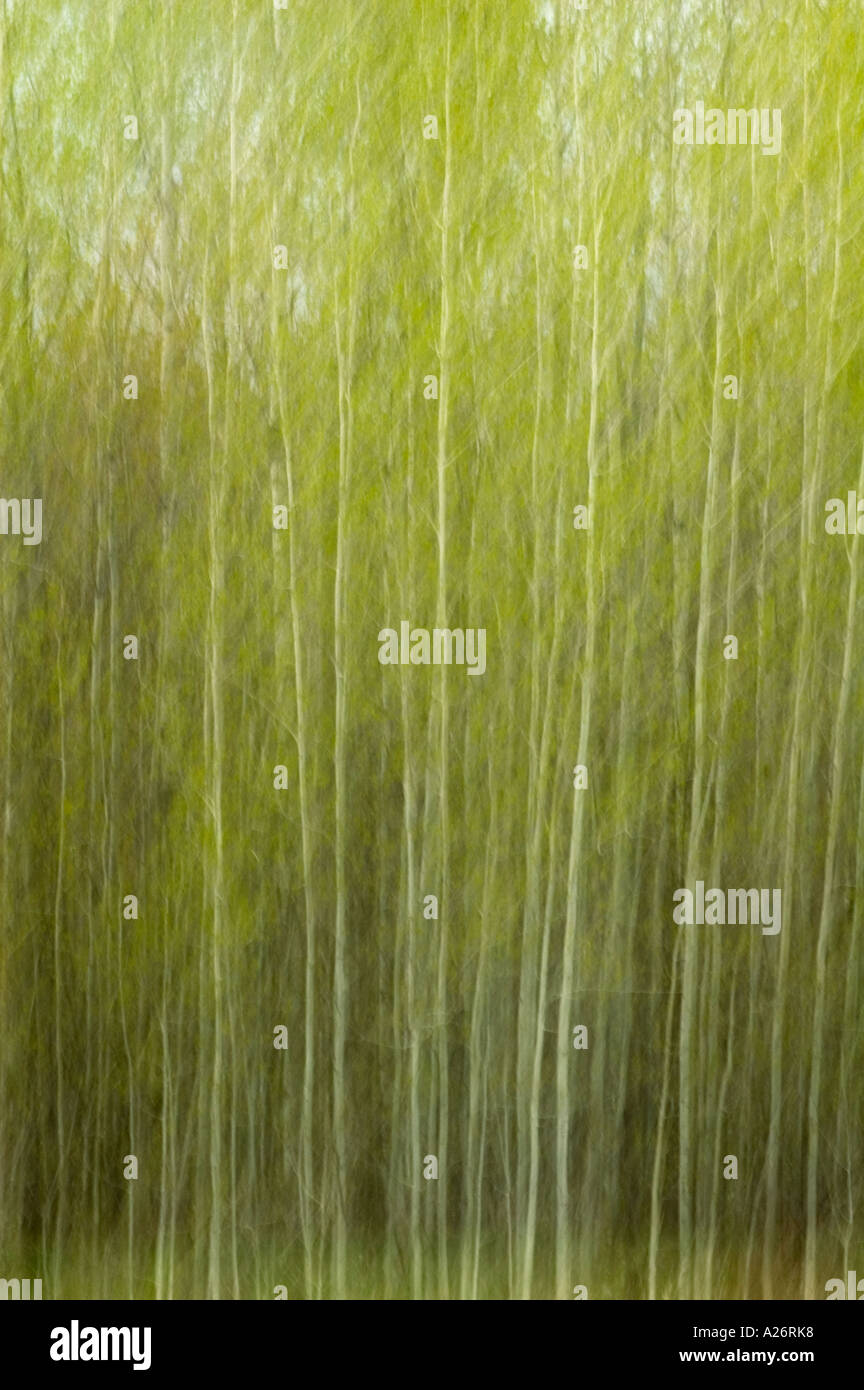 Bright grove ontario hi-res stock photography and images - Alamy