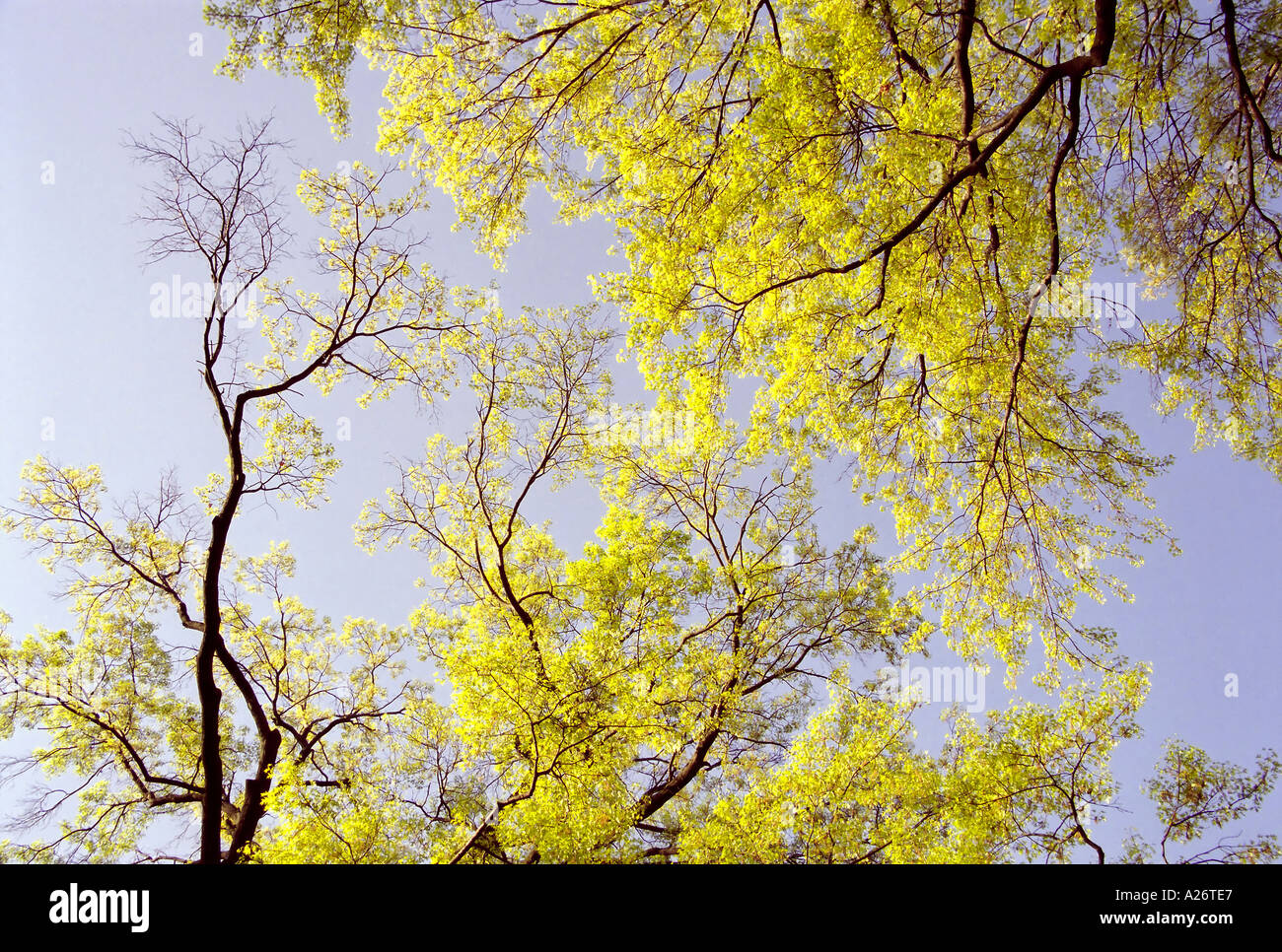 Lehigh county hi-res stock photography and images - Alamy