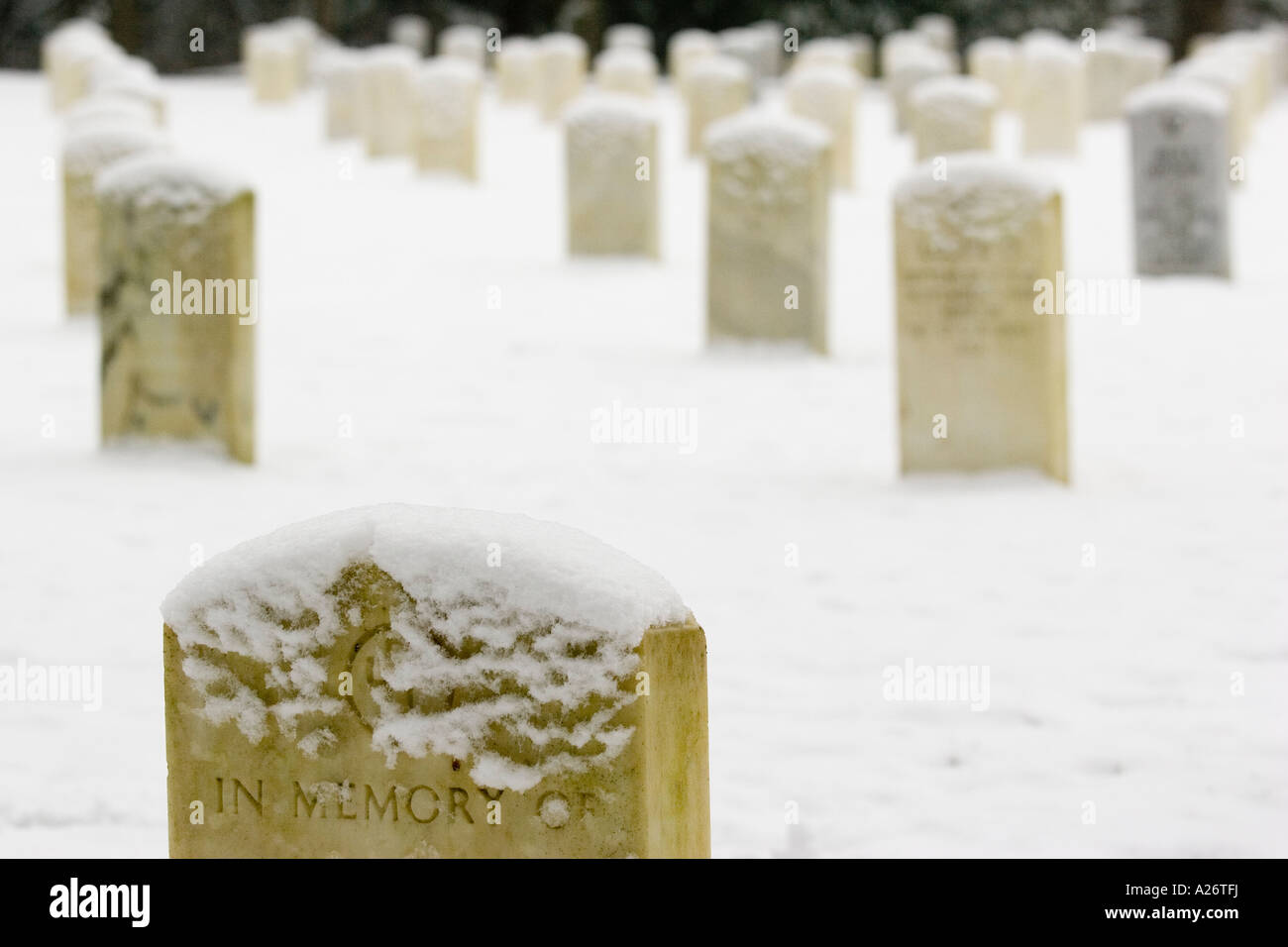 Snow covered gravestones in military cemetery Discovery Park Seattle ...