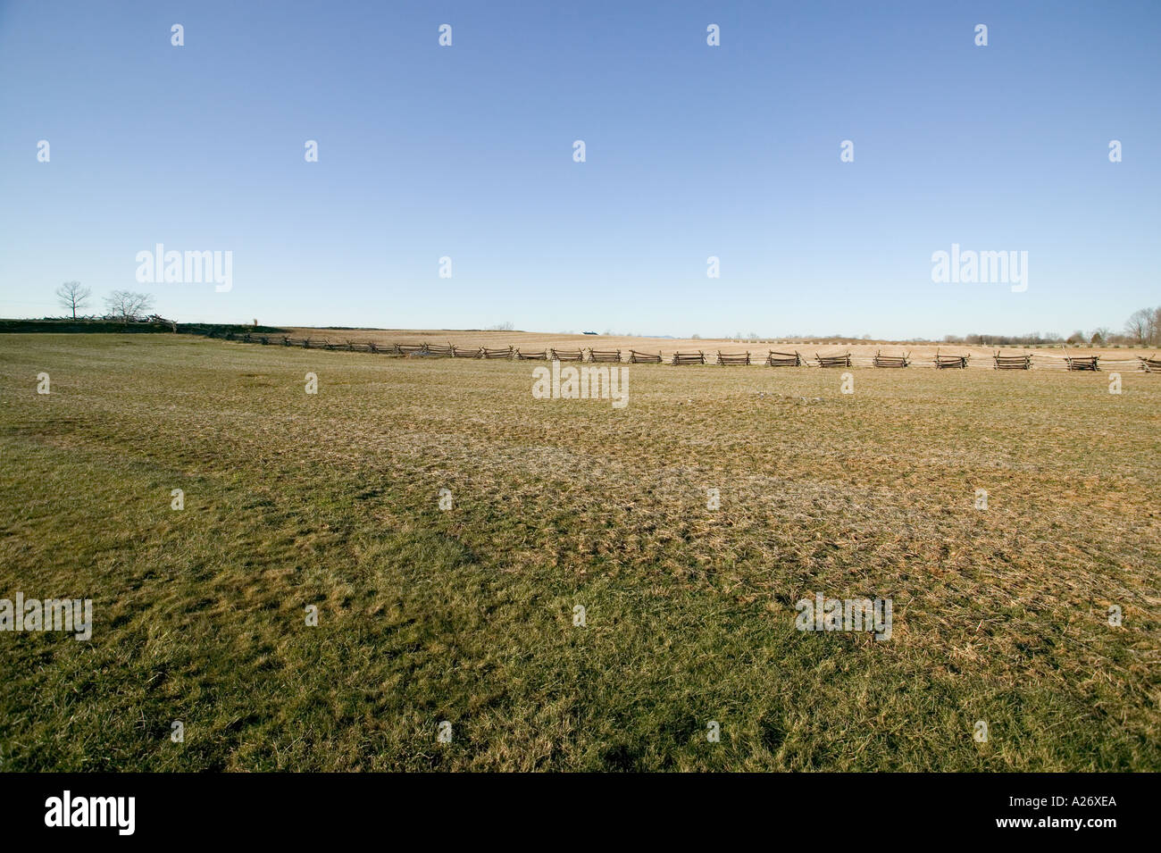 Battle Of Antietam Cornfield