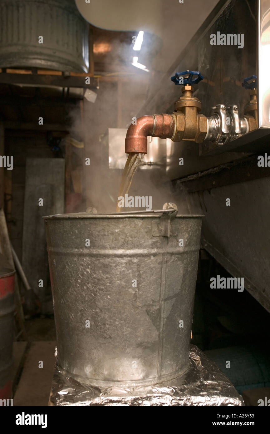 Fresh maple syrup pours out of a spigot on an evaporator into a tin ...