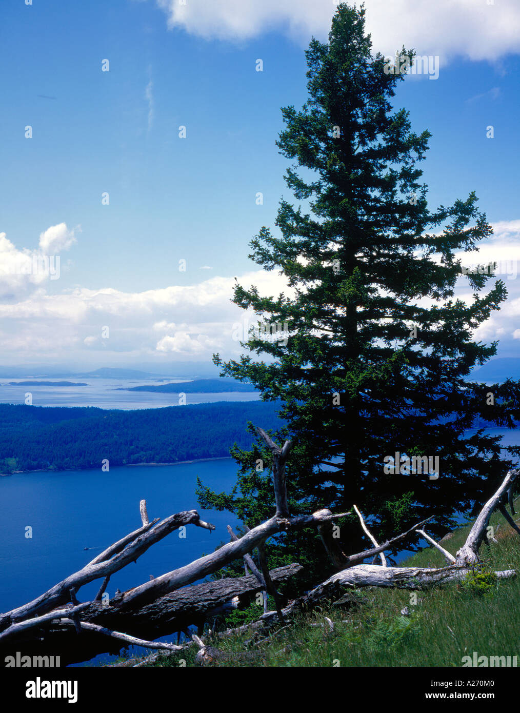 aerial view from Mount Warburton Pike, Saturna, Island, British ...