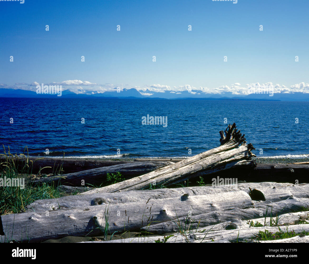 Pacific rim vancouver island hi-res stock photography and images - Alamy