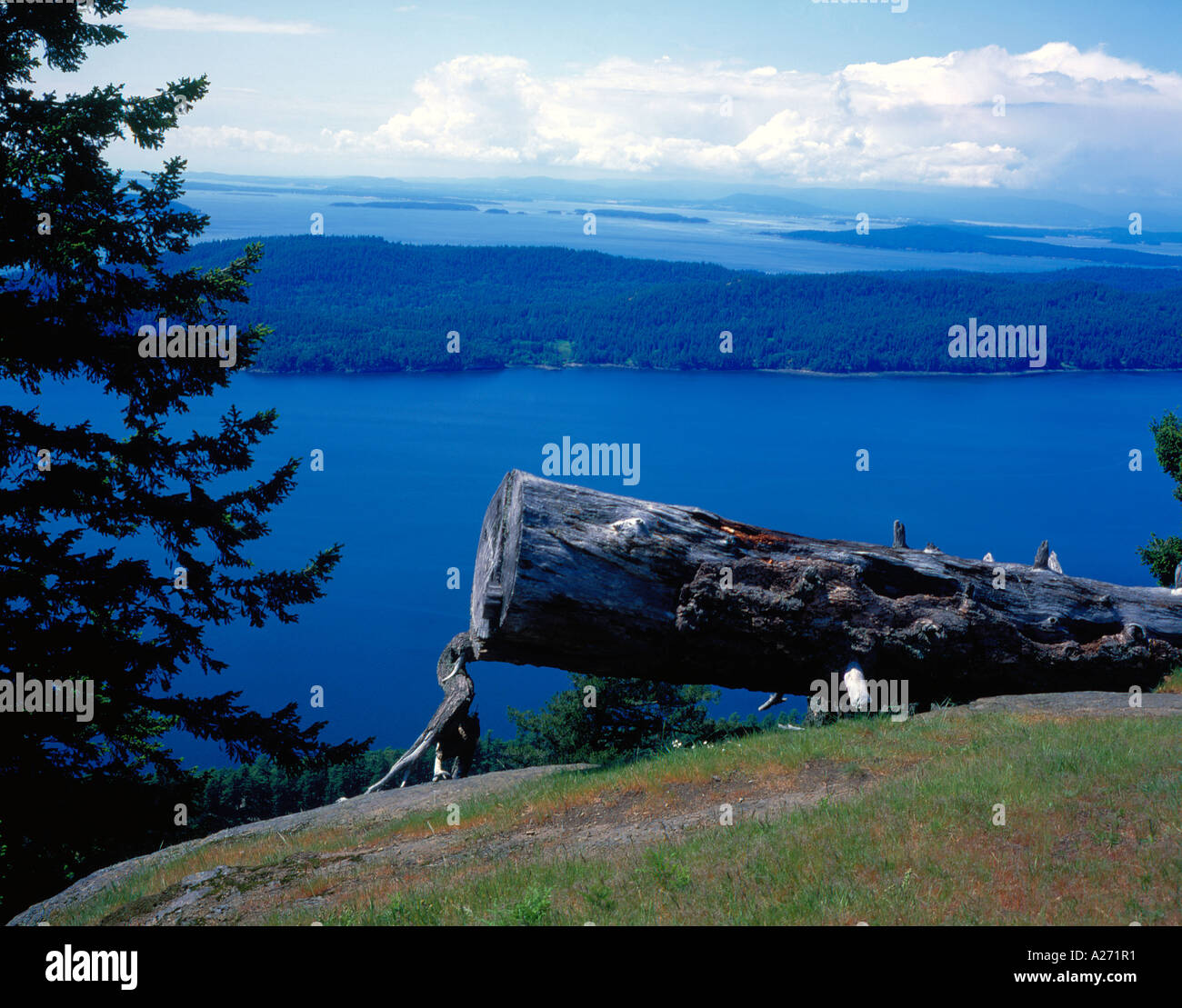 Saturna Island, Mount Warburton Pike, British Columbia, Canada. Photo ...