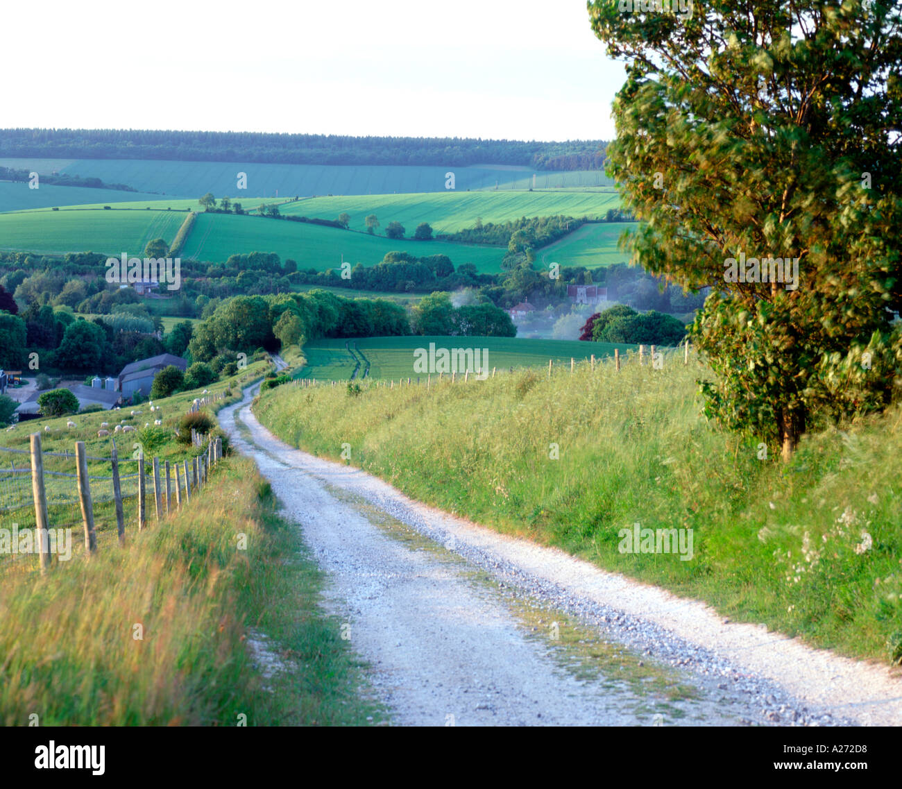 Rural Track in Wiltshire England UK eu Stock Photo - Alamy