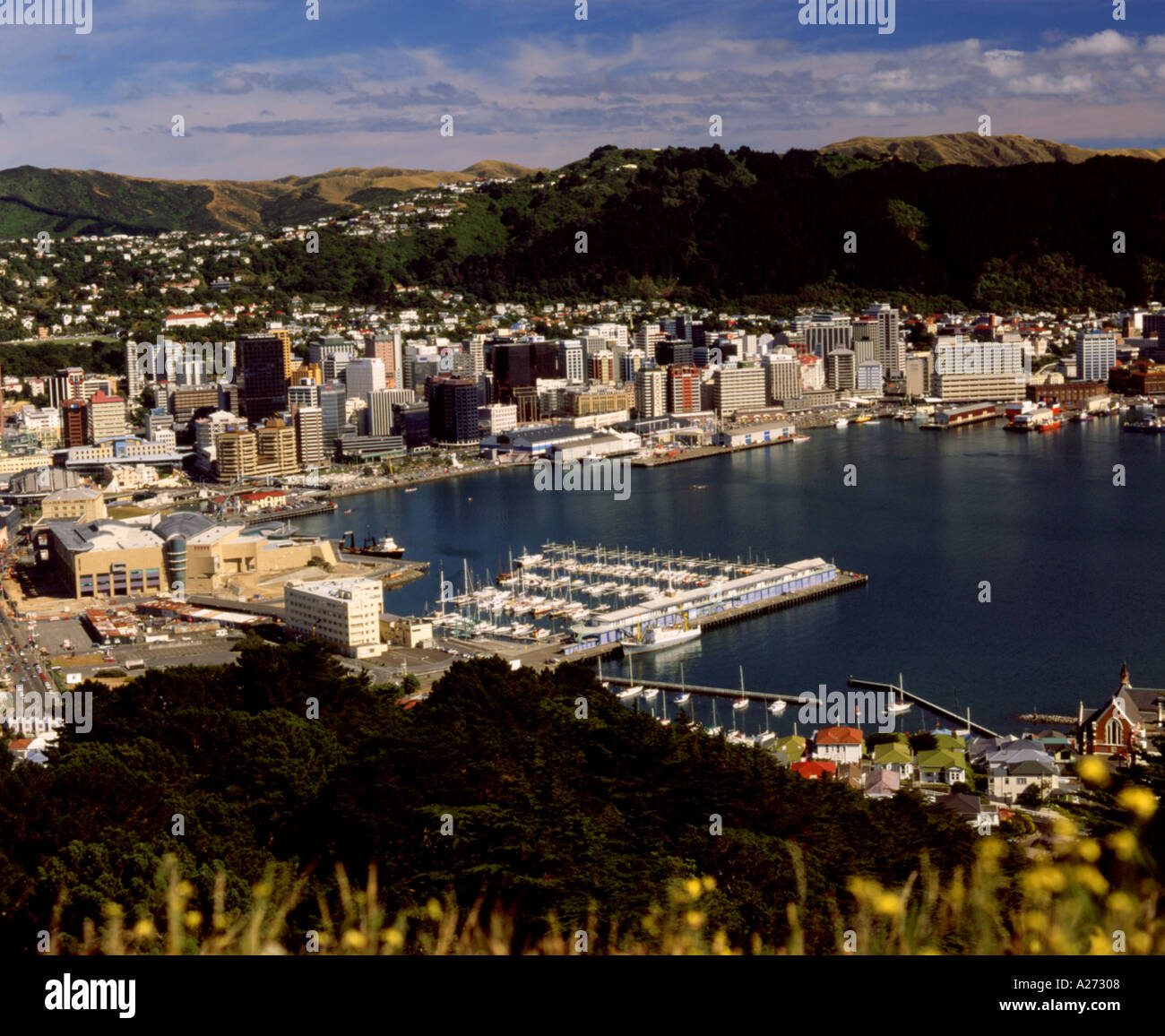 New Zealand Wellington harbour Stock Photo - Alamy