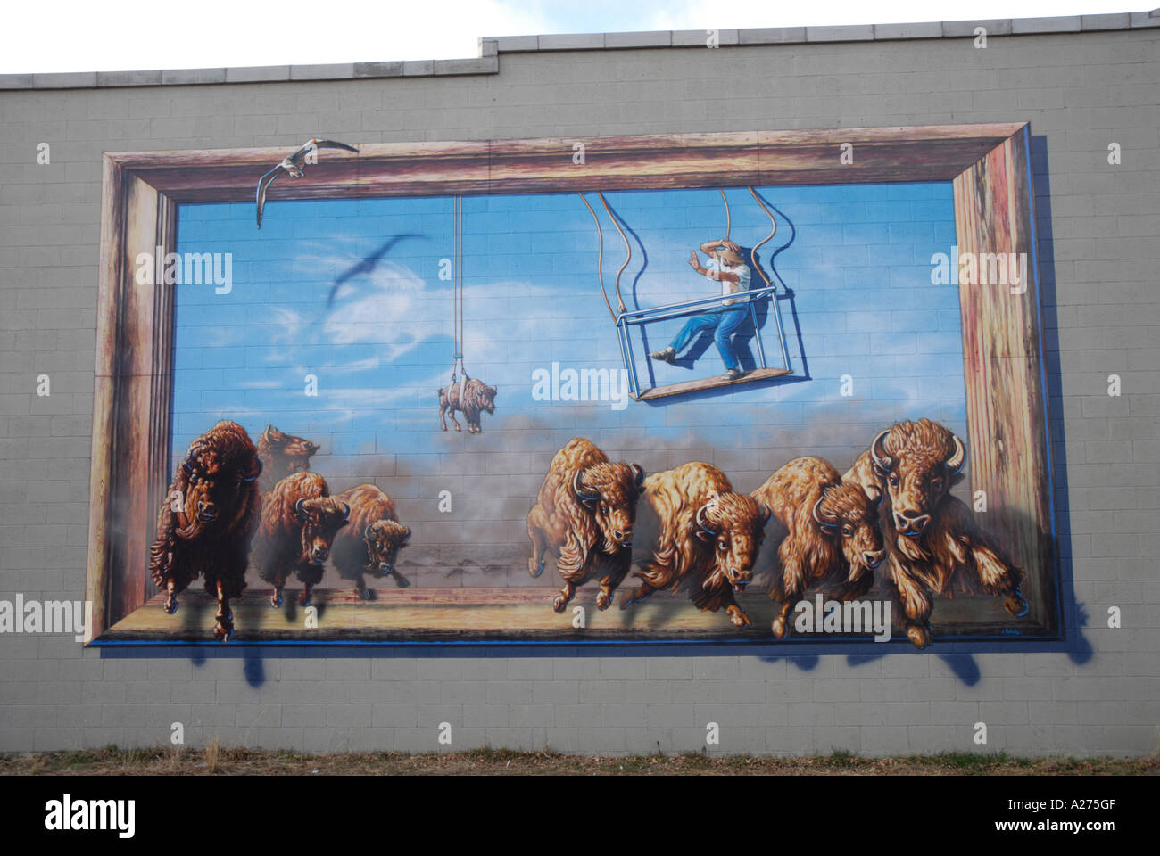 Stampede bison hi-res stock photography and images - Alamy