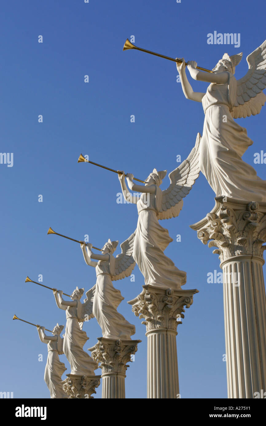 Angel trumpet hi-res stock photography and images - Alamy