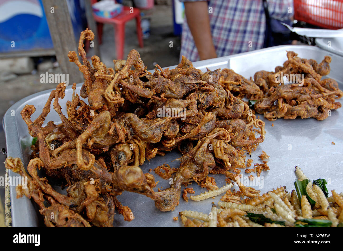 Chatuchak market animals hi-res stock photography and images - Alamy