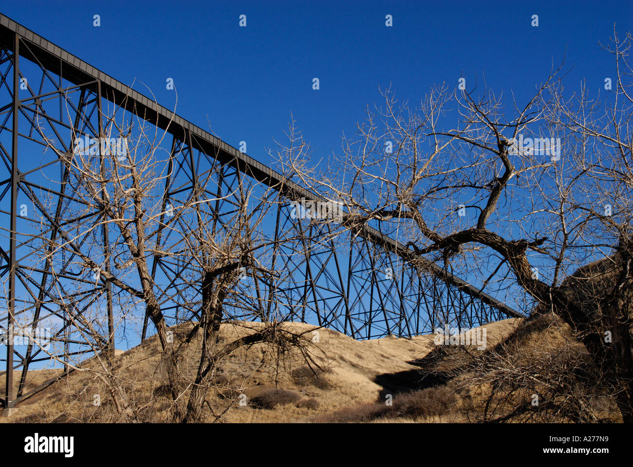 Lethbridge high level rail bridge hi-res stock photography and images ...