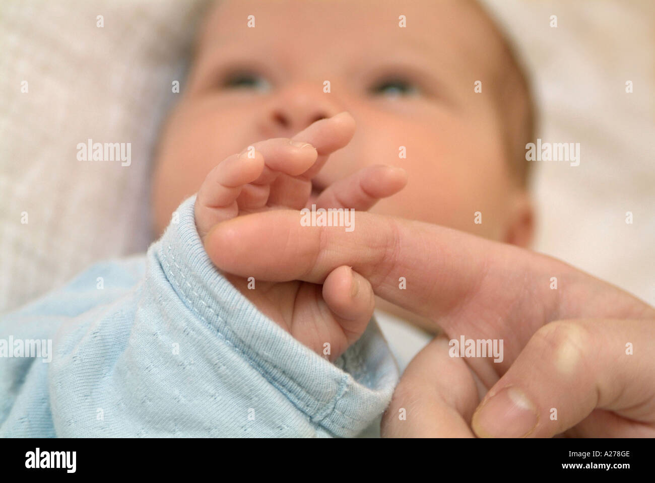 forefinger of a person in hand of a new born baby with face of baby in ...