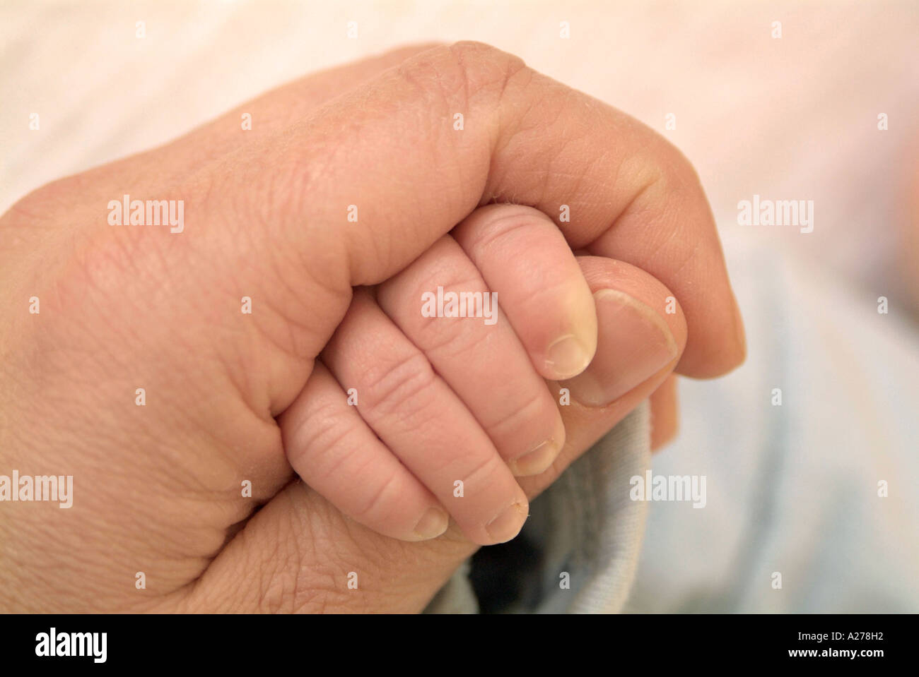 hand of a grown up person holding a little hand of a new born baby big ...