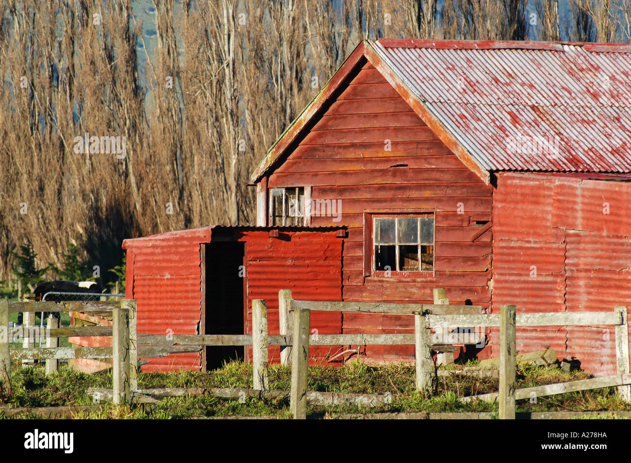 Barn nz hi-res stock photography and images - Alamy