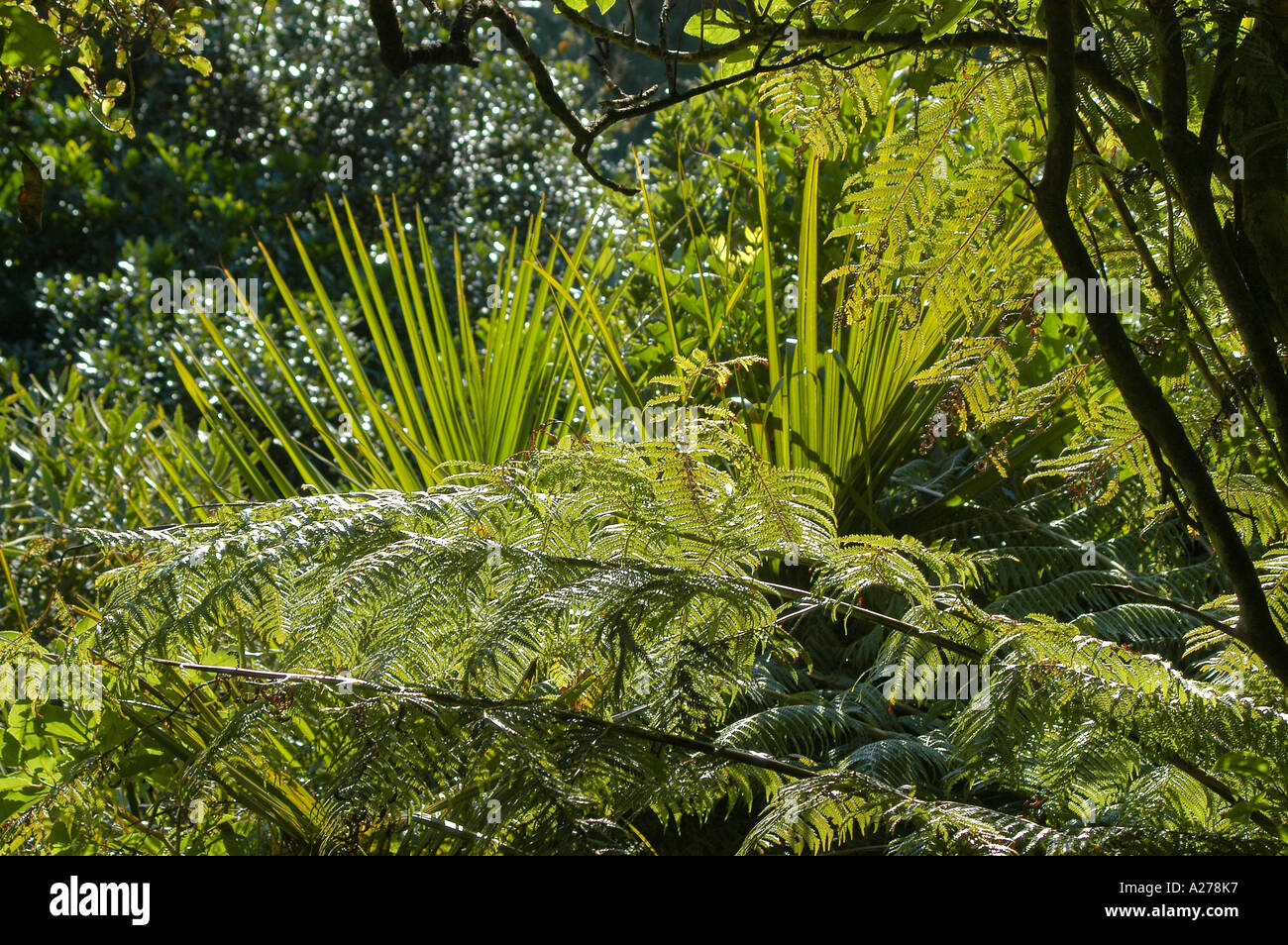 Nature picture library hi-res stock photography and images - Alamy