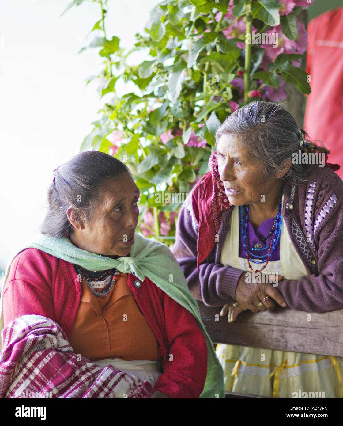 GUATEMALA CAPELLANIA Indigenous Maya Quiche women in colorful ...