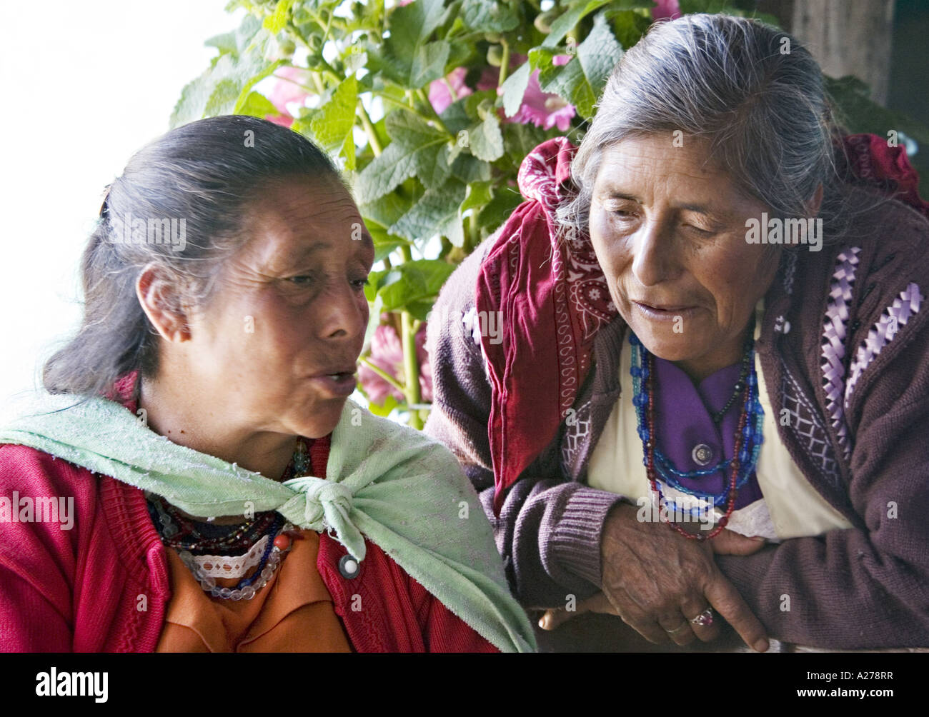 GUATEMALA CAPELLANIA Indigenous elderly Maya Quiche women in colorful ...