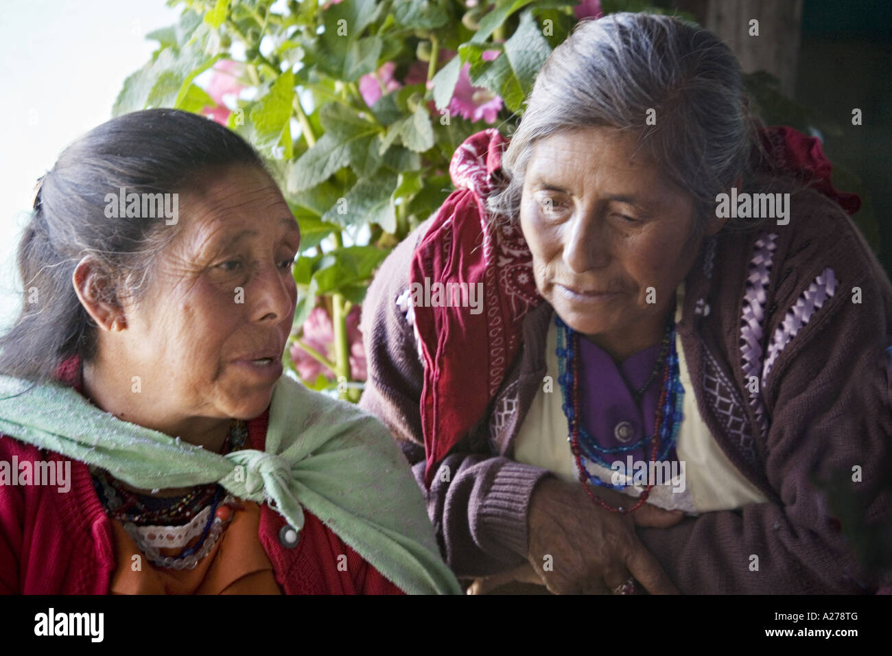 GUATEMALA CAPELLANIA Indigenous Maya Quiche women in colorful ...