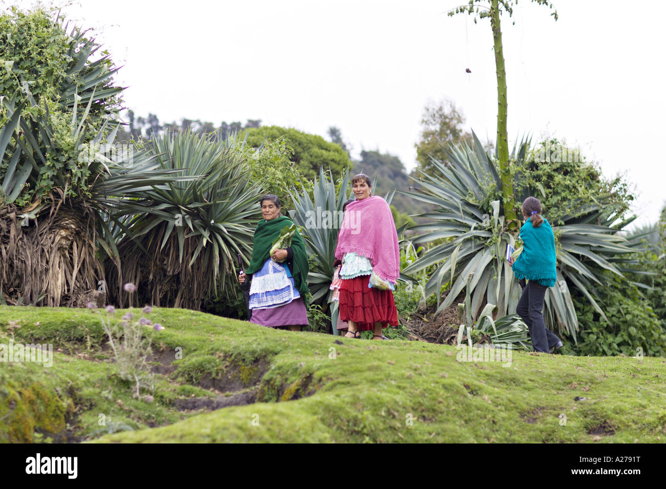 GUATEMALA CAPELLANIA Indigenous Maya Quiche women in colorful ...