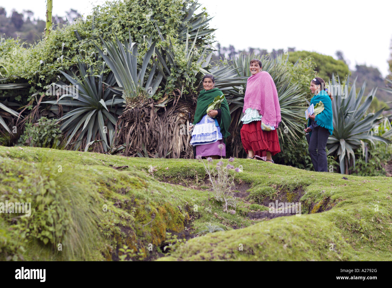 GUATEMALA CAPELLANIA Indigenous Maya Quiche women in colorful ...