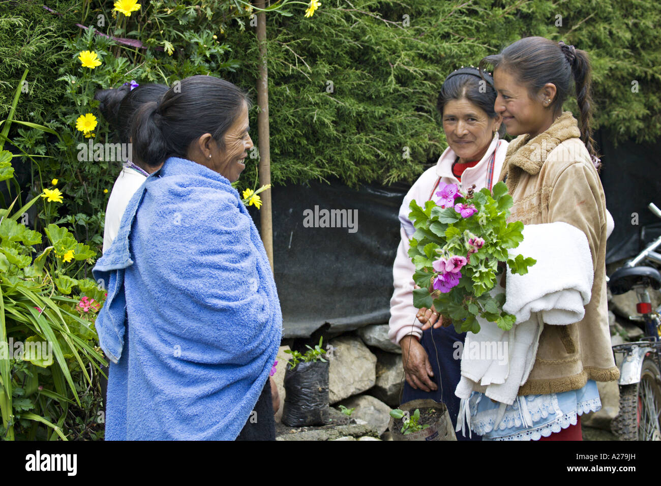 GUATEMALA CAPELLANIA Indigenous Maya Quiche women in colorful ...