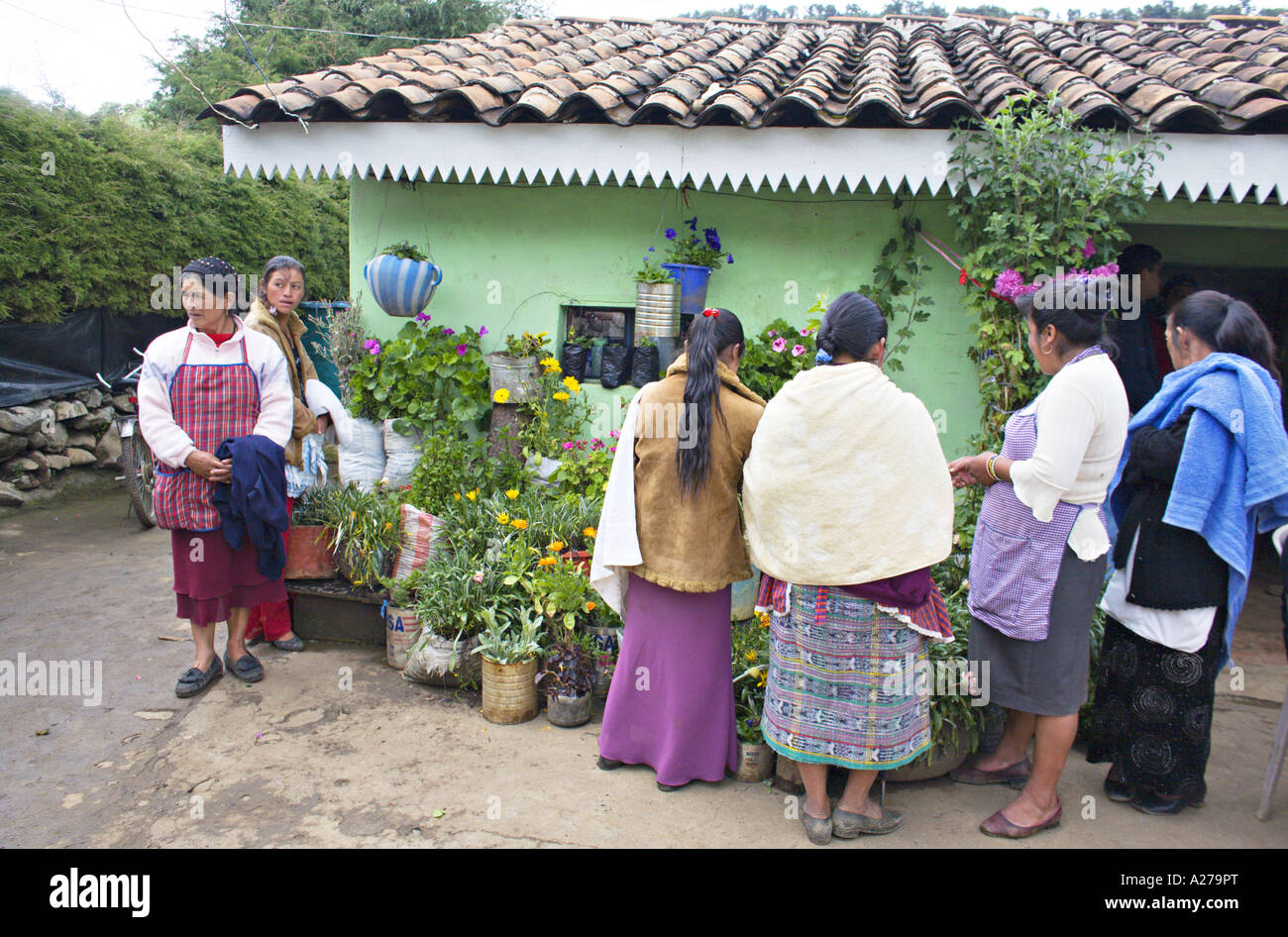 GUATEMALA CAPELLANIA Indigenous Maya Quiche women in colorful ...