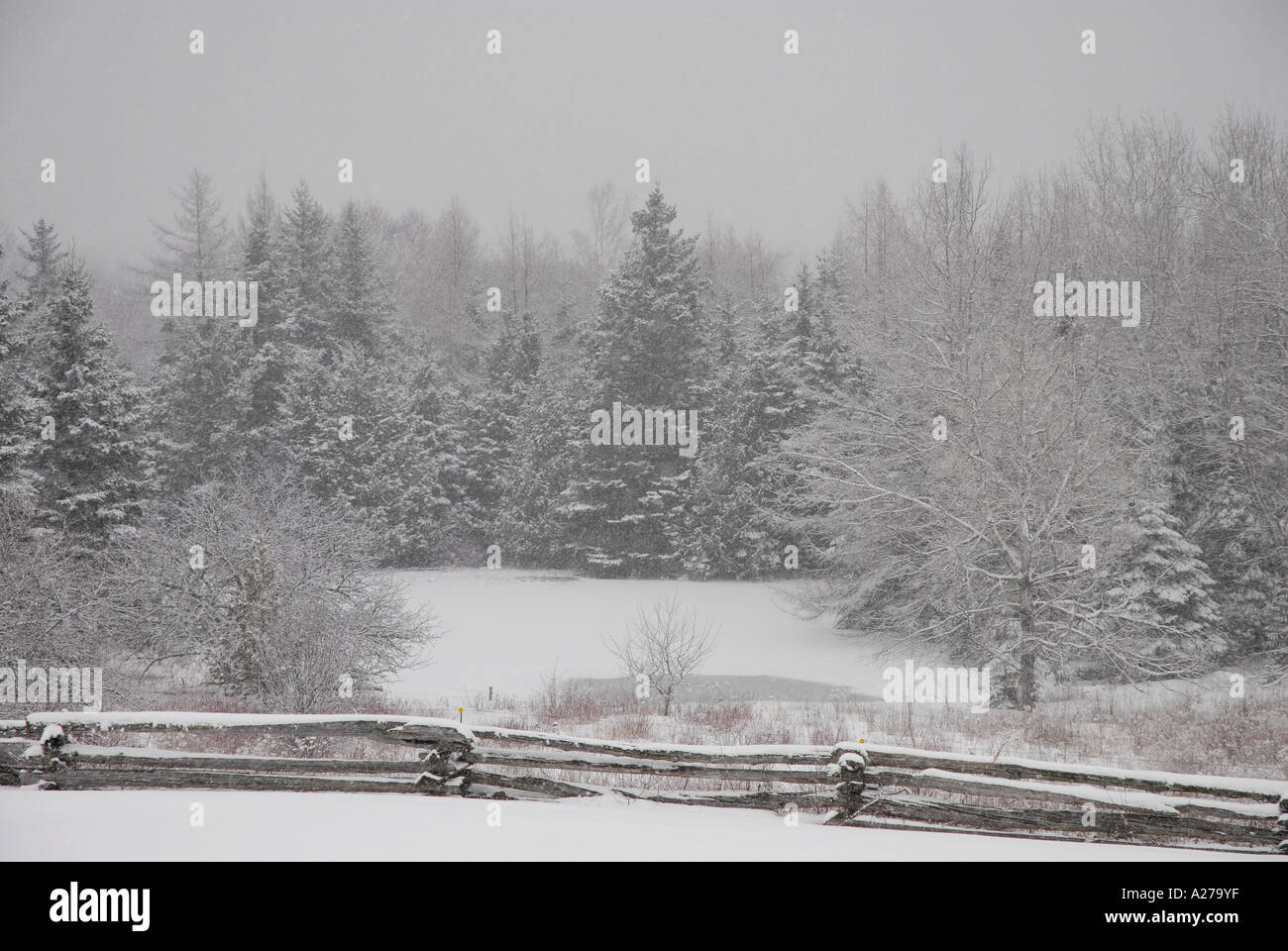New brunswick winter scene hi-res stock photography and images - Alamy