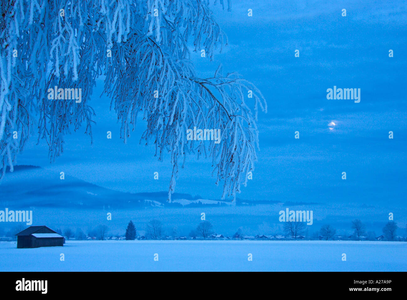 Frosty and foggy at moonshine in the bavarian mountains (alps ...